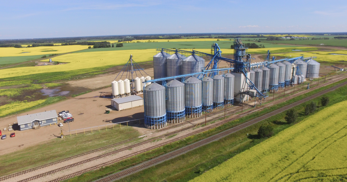 Providence Grain Solutions | Locally grown. Globally connected.